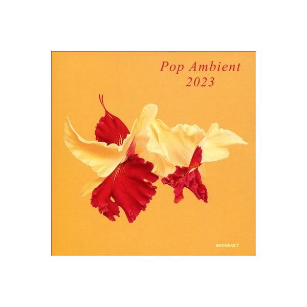 【発売日：2022年12月31日】ご注文後のキャンセル・返品は承れません。発売日:2022年12月31日/商品ID:5575837/ジャンル:SOUL/CLUB/RAP/フォーマット:CD/構成数:1/レーベル:Kompakt/タイトル:P...