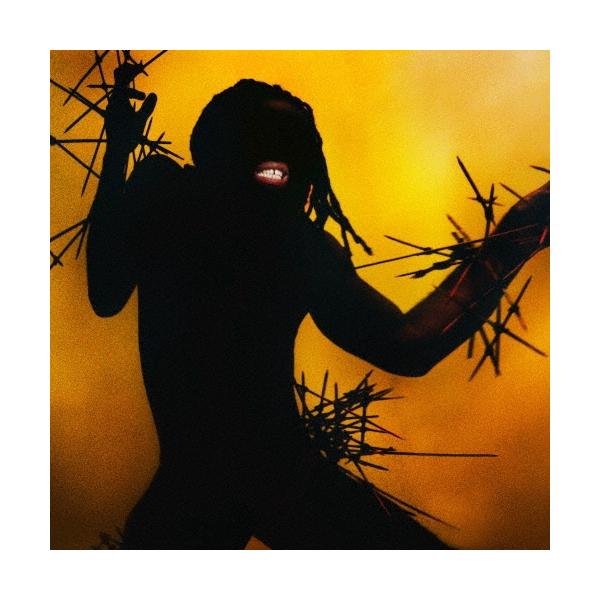 【発売日：2023年02月03日】ご注文後のキャンセル・返品は承れません。発売日:2023年02月03日/商品ID:5581290/ジャンル:ROCK/POP/フォーマット:CD/構成数:1/レーベル:Ninja Tune/アーティスト:Y...