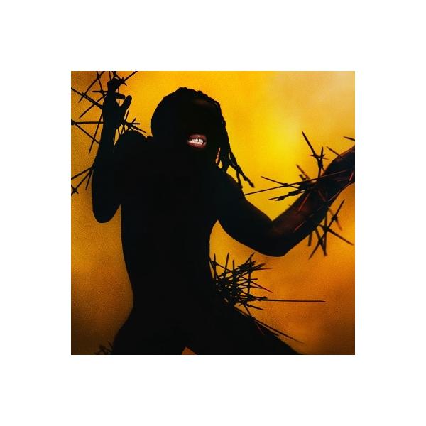 【発売日：2023年02月03日】ご注文後のキャンセル・返品は承れません。発売日:2023年02月03日/商品ID:5581303/ジャンル:ROCK/POP/フォーマット:CD/構成数:1/レーベル:Ninja Tune/アーティスト:Y...