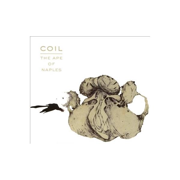 【発売日：2022年10月28日】ご注文後のキャンセル・返品は承れません。発売日:2022年10月28日/商品ID:5585784/ジャンル:ROCK/POP/フォーマット:CD/構成数:2/レーベル:Infinite Fog Produc...