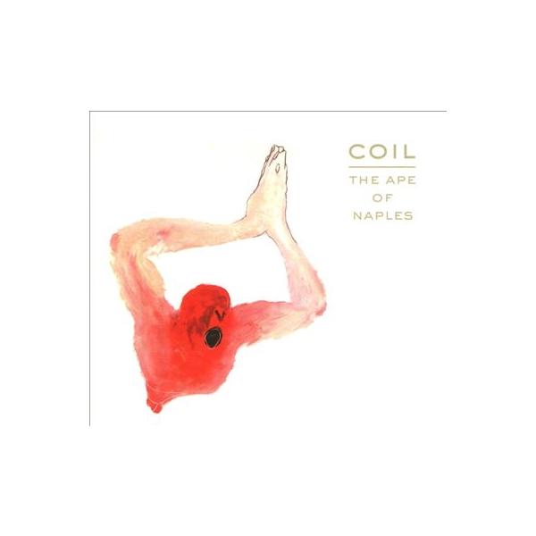 【発売日：2023年01月13日】ご注文後のキャンセル・返品は承れません。発売日:2023年01月13日/商品ID:5585785/ジャンル:ROCK/POP/フォーマット:CD/構成数:2/レーベル:Infinite Fog Produc...