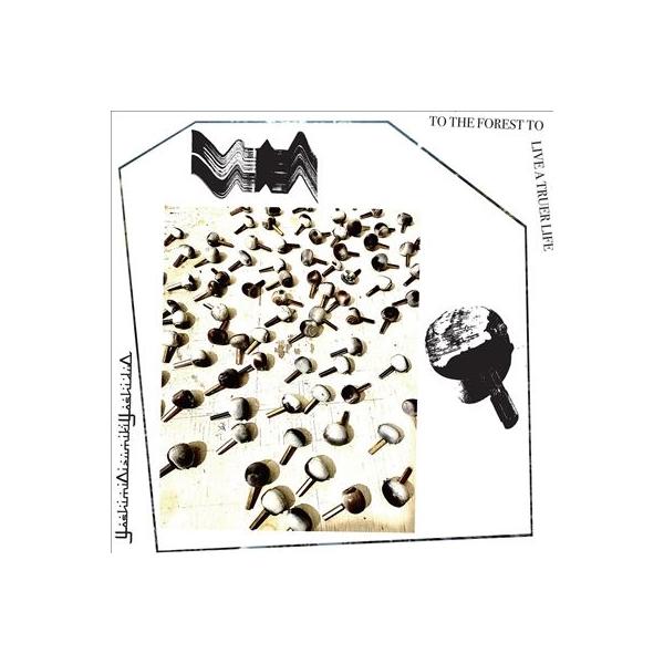 【発売日：2023年03月24日】ご注文後のキャンセル・返品は承れません。発売日:2023年03月24日/商品ID:5593710/ジャンル:J-POP/フォーマット:LP/構成数:1/レーベル:Thrill Jockey/アーティスト:Y...