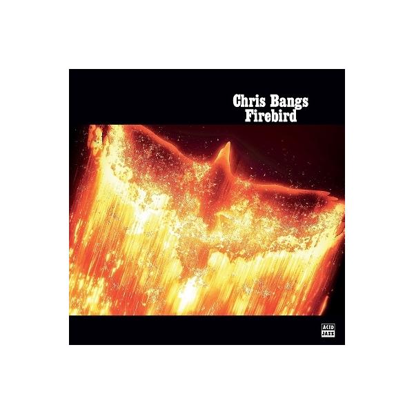 【発売日：2023年01月27日】ご注文後のキャンセル・返品は承れません。発売日:2023年01月27日/商品ID:5597741/ジャンル:SOUL/CLUB/RAP/フォーマット:CD/構成数:1/レーベル:Acid Jazz/アーティ...