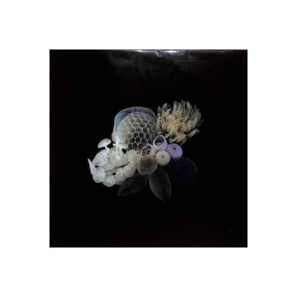 【発売日：2022年12月28日】ご注文後のキャンセル・返品は承れません。発売日:2022年12月28日/商品ID:5600118/ジャンル:SOUL/CLUB/RAP/フォーマット:LP/構成数:1/レーベル:Emotional Inte...