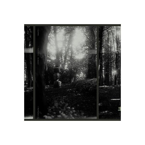 【発売日：2023年01月27日】ご注文後のキャンセル・返品は承れません。発売日:2023年01月27日/商品ID:5606013/ジャンル:JAZZ/フォーマット:CD/構成数:1/レーベル:Edition/アーティスト:Eyolf Da...