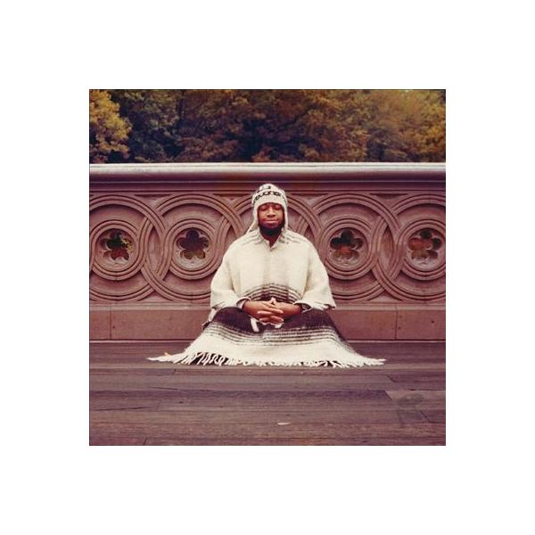 【発売日：2023年02月10日】ご注文後のキャンセル・返品は承れません。発売日:2023年02月上旬/商品ID:5616401/ジャンル:JAZZ/フォーマット:LP/構成数:5/レーベル:Numero/アーティスト:Laraaji/アー...