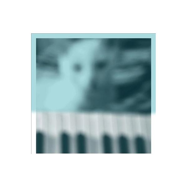 【発売日：2022年11月25日】ご注文後のキャンセル・返品は承れません。発売日:2022年11月25日/商品ID:5628103/ジャンル:JAZZ/フォーマット:LP/構成数:1/レーベル:Erased Tapes/アーティスト:Pet...