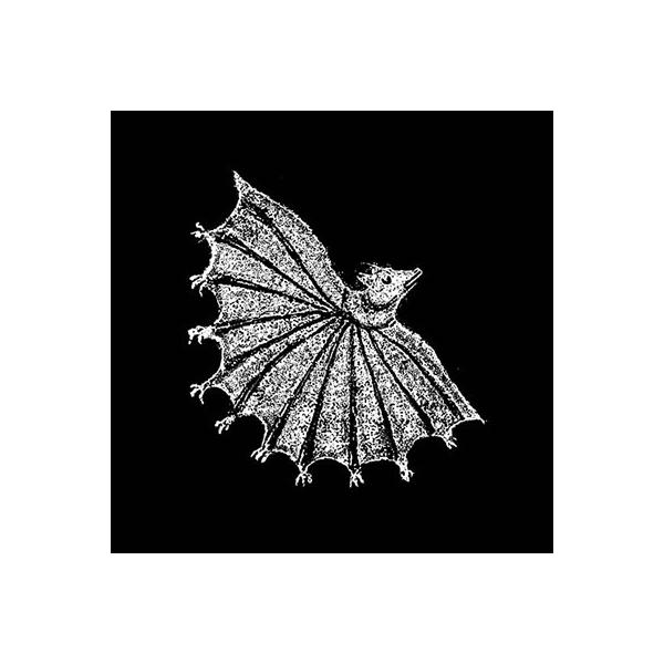 【発売日：2023年03月03日】ご注文後のキャンセル・返品は承れません。発売日:2023年03月03日/商品ID:5637815/ジャンル:ROCK/POP/フォーマット:CD/構成数:1/レーベル:Polyvinyl/アーティスト:Xi...