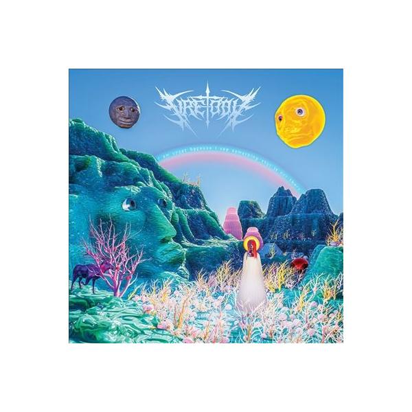 【発売日：2023年04月07日】ご注文後のキャンセル・返品は承れません。発売日:2023年04月07日/商品ID:5662801/ジャンル:ROCK/POP/フォーマット:CD/構成数:1/レーベル:Hausu Mountain/アーティ...