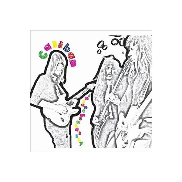 【発売日：2023年03月10日】ご注文後のキャンセル・返品は承れません。発売日:2023年03月10日/商品ID:5663681/ジャンル:ROCK/POP/フォーマット:LP/構成数:1/レーベル:Seelie Court/アーティスト...