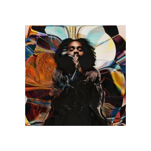 【発売日：2022年11月18日】ご注文後のキャンセル・返品は承れません。発売日:2022年11月18日/商品ID:5668309/ジャンル:SOUL/CLUB/RAP/フォーマット:LP/構成数:1/レーベル:Lex Records/アー...