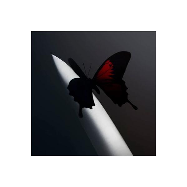 【発売日：2023年02月17日】ご注文後のキャンセル・返品は承れません。発売日:2023年02月17日/商品ID:5669001/ジャンル:SOUL/CLUB/RAP/フォーマット:LP/構成数:1/レーベル:Universal Impo...