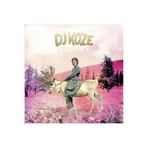 【発売日：2023年04月07日】ご注文後のキャンセル・返品は承れません。発売日:2023年04月07日/商品ID:5670067/ジャンル:SOUL/CLUB/RAP/フォーマット:LP/構成数:1/レーベル:Pampa/アーティスト:D...