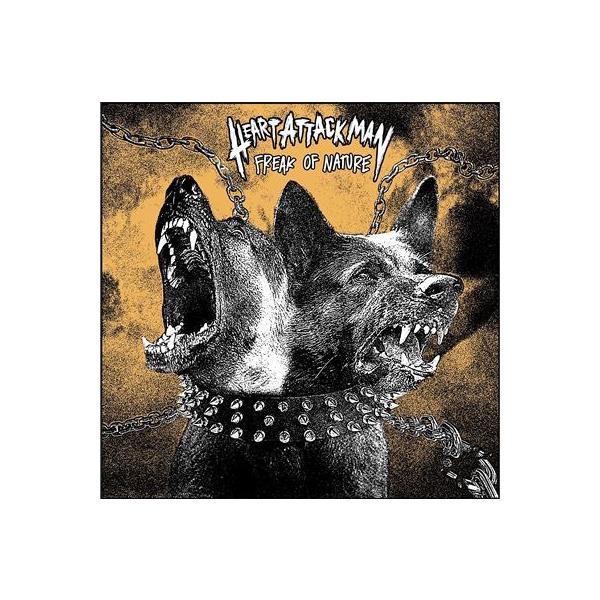 【発売日：2023年05月26日】ご注文後のキャンセル・返品は承れません。発売日:2023年05月26日/商品ID:5678946/ジャンル:ROCK/POP/フォーマット:LP/構成数:1/レーベル:Miscellaneous Recor...