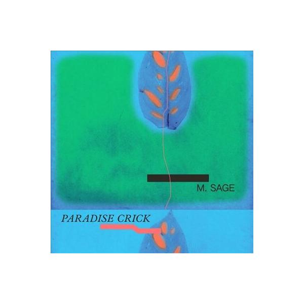 【発売日：2023年05月26日】ご注文後のキャンセル・返品は承れません。発売日:2023年05月26日/商品ID:5682119/ジャンル:JAZZ/フォーマット:LP/構成数:1/レーベル:Rvng Intl./アーティスト:M. Sa...