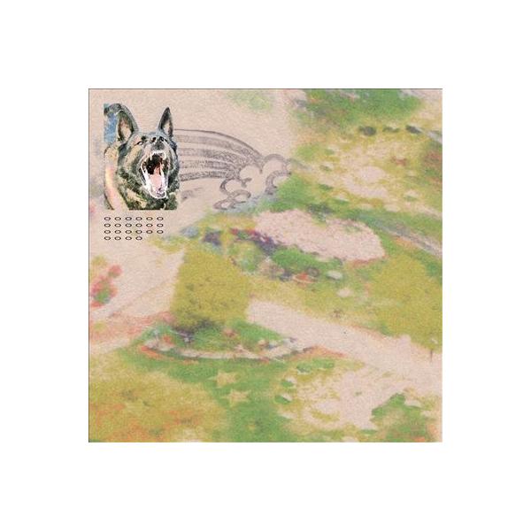 【発売日：2023年06月09日】ご注文後のキャンセル・返品は承れません。発売日:2023年06月09日/商品ID:5685415/ジャンル:ROCK/POP/フォーマット:LP/構成数:1/レーベル:Saddle Creek Record...