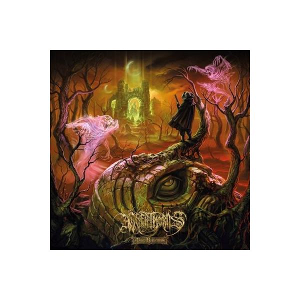 【発売日：2023年05月12日】ご注文後のキャンセル・返品は承れません。発売日:2023年05月12日/商品ID:5686133/ジャンル:ROCK/POP/フォーマット:CD/構成数:1/レーベル:Avantgarde Music/アー...