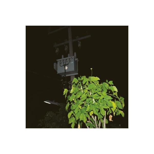 【発売日：2023年07月02日】ご注文後のキャンセル・返品は承れません。発売日:2023年07月02日/商品ID:5691100/ジャンル:JAZZ/フォーマット:LP/構成数:1/レーベル:Black Truffle Records/ア...