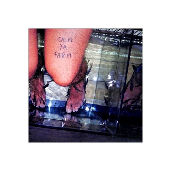 【発売日：2023年05月19日】ご注文後のキャンセル・返品は承れません。発売日:2023年05月19日/商品ID:5692886/ジャンル:ROCK/POP/フォーマット:LP/構成数:1/レーベル:ATO/アーティスト:The Murl...