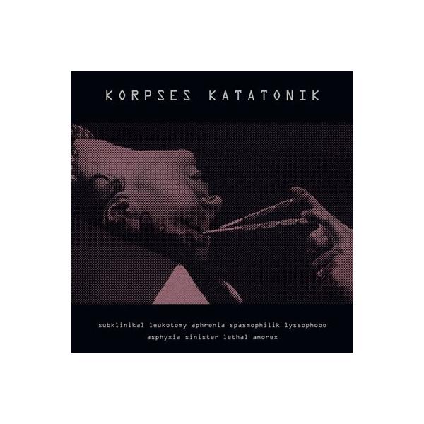 【発売日：2023年03月10日】ご注文後のキャンセル・返品は承れません。発売日:2023年03月10日/商品ID:5693882/ジャンル:ROCK/POP/フォーマット:LP/構成数:1/レーベル:Infinite Fog Produc...