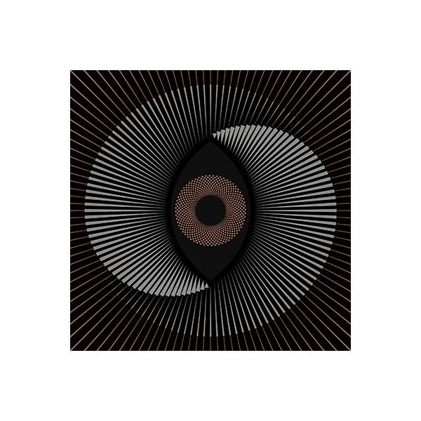 【発売日：2023年05月19日】ご注文後のキャンセル・返品は承れません。発売日:2023年05月19日/商品ID:5698233/ジャンル:ROCK/POP/フォーマット:LP/構成数:1/レーベル:Pelagic Records/アーテ...