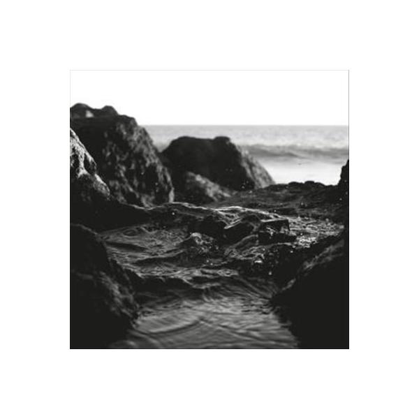 【発売日：2023年06月16日】ご注文後のキャンセル・返品は承れません。発売日:2023年06月16日/商品ID:5712796/ジャンル:SOUL/CLUB/RAP/フォーマット:LP/構成数:1/レーベル:Anticon/アーティスト...