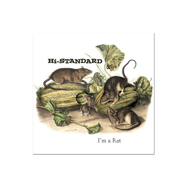 【発売日：2023年07月14日】ご注文後のキャンセル・返品は承れません。発売日:2023年07月14日/商品ID:5716932/ジャンル:J-POP/フォーマット:7inch Single/構成数:1/レーベル:Fat Wreck Ch...