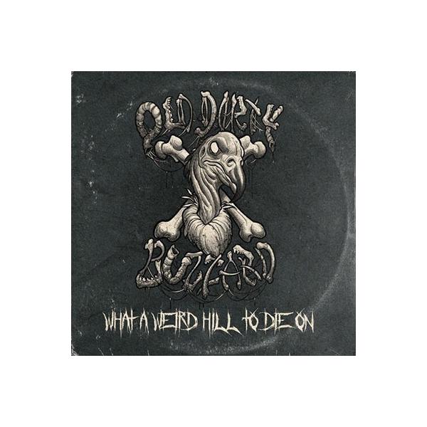 【発売日：2023年05月12日】ご注文後のキャンセル・返品は承れません。発売日:2023年05月12日/商品ID:5720498/ジャンル:ROCK/POP/フォーマット:CD/構成数:1/レーベル:Rotten Records/アーティ...