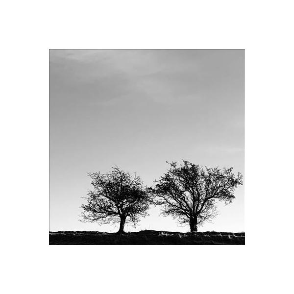 【発売日：2023年08月25日】ご注文後のキャンセル・返品は承れません。発売日:2023年08月25日/商品ID:5725321/ジャンル:ROCK/POP/フォーマット:CD/構成数:1/レーベル:Monologue Records/ア...