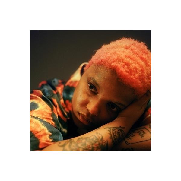 【発売日：2023年09月22日】ご注文後のキャンセル・返品は承れません。発売日:2023年09月22日/商品ID:5740370/ジャンル:SOUL/CLUB/RAP/フォーマット:LP/構成数:2/レーベル:Hyperdub/アーティス...