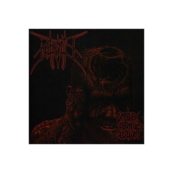 【発売日：2023年07月07日】ご注文後のキャンセル・返品は承れません。発売日:2023年07月07日/商品ID:5740466/ジャンル:ROCK/POP/フォーマット:CD/構成数:1/レーベル:Willowtip/アーティスト:Pu...