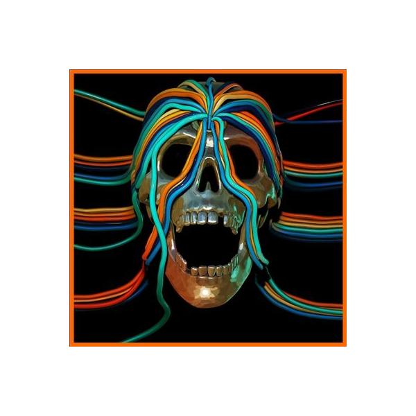 【発売日：2023年08月18日】ご注文後のキャンセル・返品は承れません。発売日:2023年08月18日/商品ID:5749498/ジャンル:ROCK/POP/フォーマット:CD/構成数:1/レーベル:In The Red Records/...