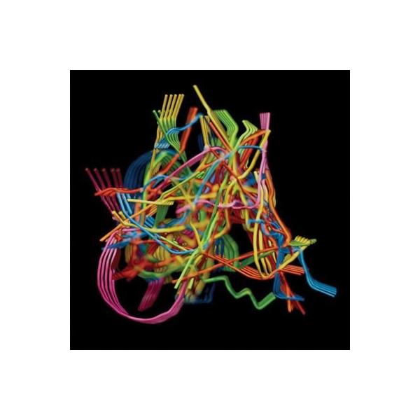 【発売日：2023年08月31日】ご注文後のキャンセル・返品は承れません。発売日:2023年08月31日/商品ID:5758073/ジャンル:ROCK/POP/フォーマット:CD/構成数:1/レーベル:Hausu Mountain/アーティ...