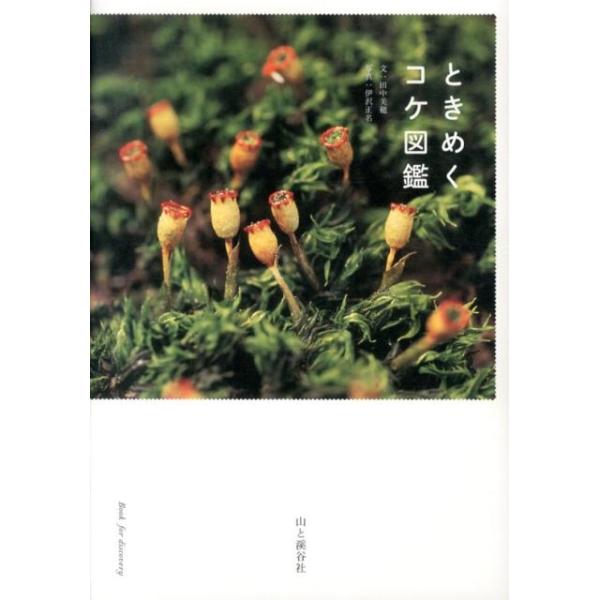 【発売日：2014年01月31日】ご注文後のキャンセル・返品は承れません。発売日:2014年01月/商品ID:5785502/ジャンル:DOMESTIC BOOKS/フォーマット:Book/構成数:1/レーベル:山と溪谷社/アーティスト:田...