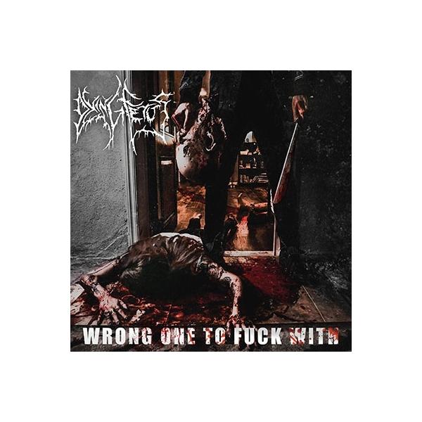 【発売日：2023年08月18日】ご注文後のキャンセル・返品は承れません。発売日:2023年08月18日/商品ID:5791057/ジャンル:ROCK/POP/フォーマット:LP/構成数:2/レーベル:Relapse Records/アーテ...