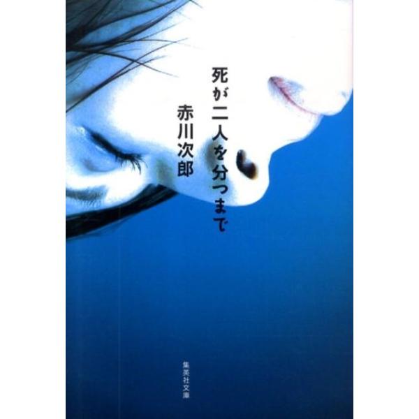 【発売日：2010年04月30日】ご注文後のキャンセル・返品は承れません。発売日:2010年04月/商品ID:5807649/ジャンル:DOMESTIC BOOKS/フォーマット:Book/構成数:1/レーベル:集英社/アーティスト:赤川次...