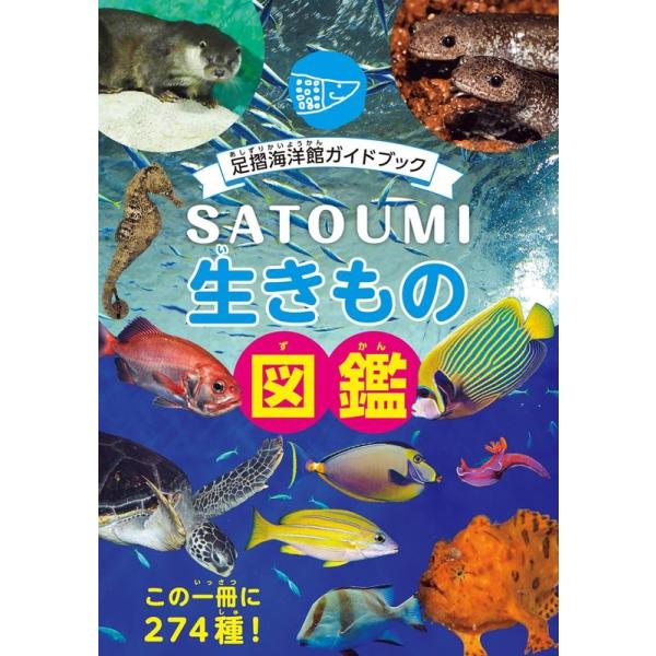【発売日：2021年07月31日】ご注文後のキャンセル・返品は承れません。発売日:2021年07月/商品ID:5885077/ジャンル:DOMESTIC BOOKS/フォーマット:Book/構成数:1/レーベル:エムピージェー/アーティスト...