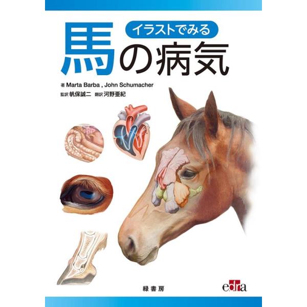 【発売日：2020年12月31日】ご注文後のキャンセル・返品は承れません。発売日:2020年12月/商品ID:5899090/ジャンル:DOMESTIC BOOKS/フォーマット:Book/構成数:1/レーベル:緑書房/アーティスト:Mar...