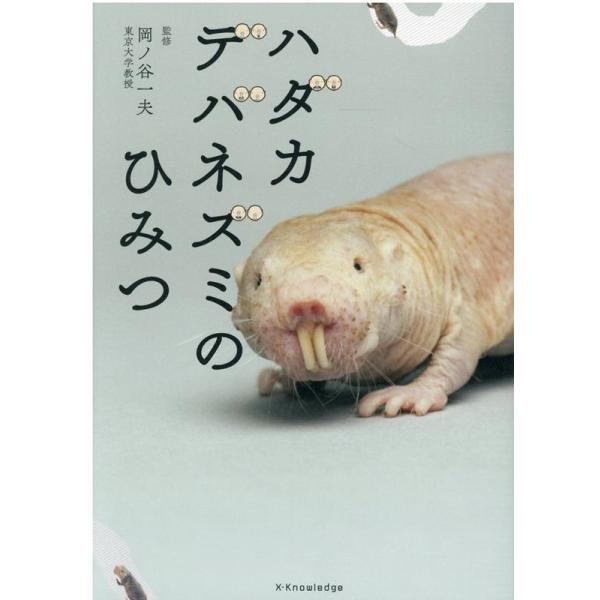 【発売日：2020年08月31日】ご注文後のキャンセル・返品は承れません。発売日:2020年08月/商品ID:5911940/ジャンル:DOMESTIC BOOKS/フォーマット:Book/構成数:1/レーベル:エクスナレッジ/タイトル:ハ...