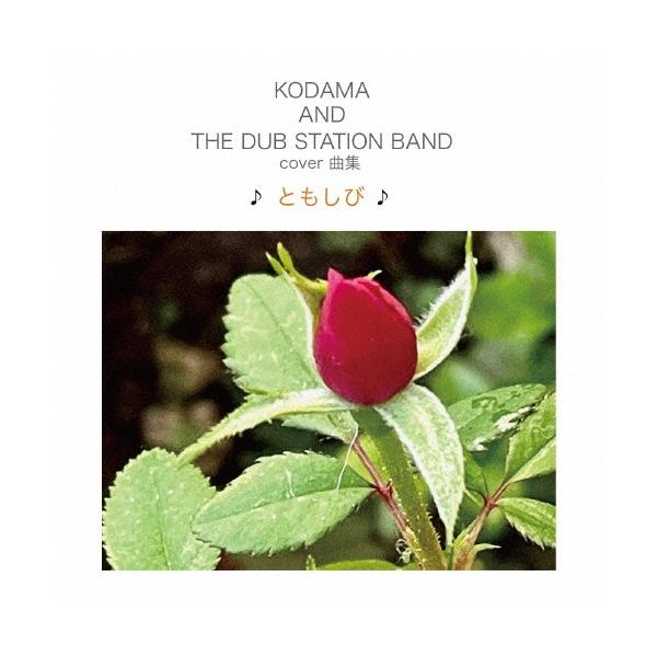 【発売日：2023年10月04日】ご注文後のキャンセル・返品は承れません。発売日:2023年10月04日/商品ID:5986549/ジャンル:J-POP/フォーマット:CD/構成数:1/レーベル:P-VINE/アーティスト:KODAMA A...