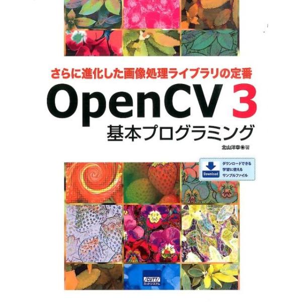 【発売日：2016年04月30日】ご注文後のキャンセル・返品は承れません。発売日:2016年04月/商品ID:5991099/ジャンル:DOMESTIC BOOKS/フォーマット:Book/構成数:1/レーベル:カットシステム/アーティスト...