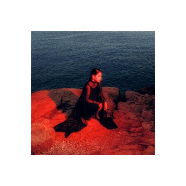 【発売日：2023年11月10日】ご注文後のキャンセル・返品は承れません。発売日:2023年11月10日/商品ID:6038818/ジャンル:SOUL/CLUB/RAP/フォーマット:LP/構成数:2/レーベル:Ninja Tune/アーテ...