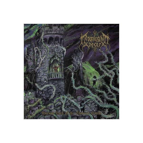 【発売日：2023年10月06日】ご注文後のキャンセル・返品は承れません。発売日:2023年10月06日/商品ID:6161841/ジャンル:ROCK/POP/フォーマット:LP/構成数:1/レーベル:Avantgarde Music/アー...