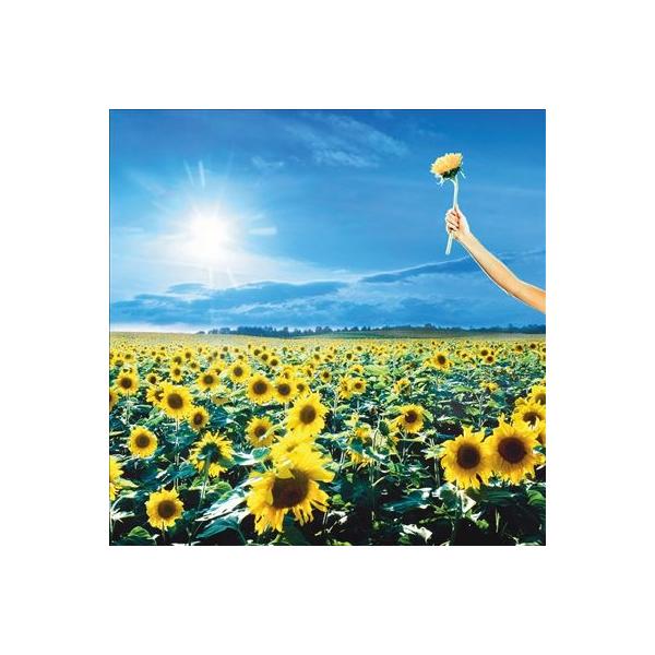 【発売日：2023年10月06日】ご注文後のキャンセル・返品は承れません。発売日:2023年10月06日/商品ID:6171650/ジャンル:ROCK/POP/フォーマット:LP/構成数:2/レーベル:Atlantic/アーティスト:Sto...