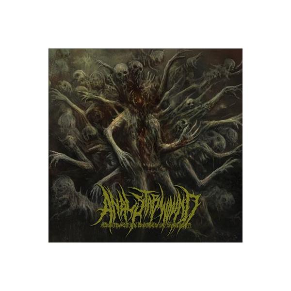 【発売日：2021年08月29日】ご注文後のキャンセル・返品は承れません。発売日:2021年08月29日/商品ID:6184607/ジャンル:ROCK/POP/フォーマット:CD/構成数:1/レーベル:New Standard Elite/...