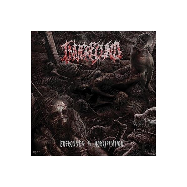 【発売日：2023年06月13日】ご注文後のキャンセル・返品は承れません。発売日:2023年06月13日/商品ID:6184661/ジャンル:ROCK/POP/フォーマット:CD/構成数:1/レーベル:New Standard Elite/...