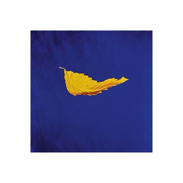 【発売日：2023年11月10日】ご注文後のキャンセル・返品は承れません。発売日:2023年11月10日/商品ID:6185452/ジャンル:ROCK/POP/フォーマット:12inch Single/構成数:1/レーベル:WM UK/アー...