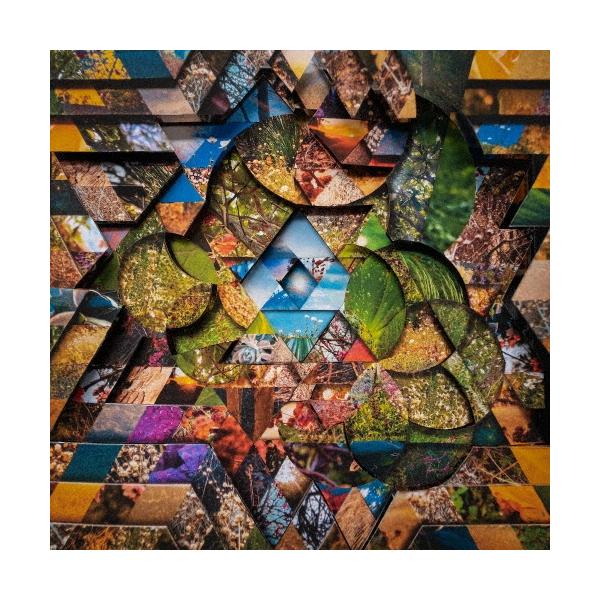 【発売日：2023年11月10日】ご注文後のキャンセル・返品は承れません。発売日:2023年11月10日/商品ID:6186949/ジャンル:SOUL/CLUB/RAP/フォーマット:CD/構成数:3/レーベル:Brainfeeder/アー...