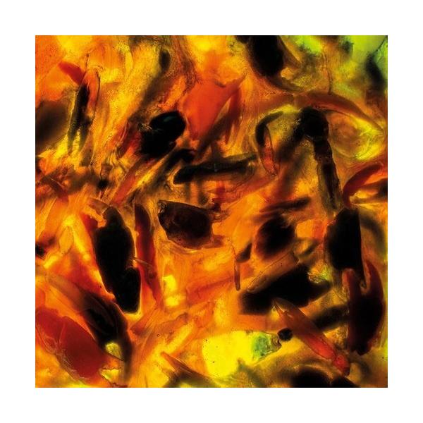 【発売日：2023年11月10日】ご注文後のキャンセル・返品は承れません。発売日:2023年11月10日/商品ID:6201894/ジャンル:ROCK/POP/フォーマット:CD/構成数:1/レーベル:Transcending Obscur...