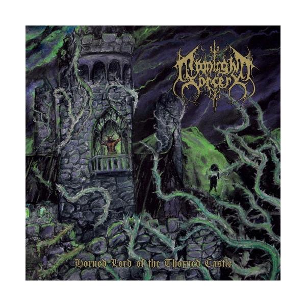 【発売日：2023年12月20日】ご注文後のキャンセル・返品は承れません。発売日:2023年12月20日/商品ID:6210737/ジャンル:ROCK/POP/フォーマット:CD/構成数:1/レーベル:MARQUEE/アーティスト:Moon...